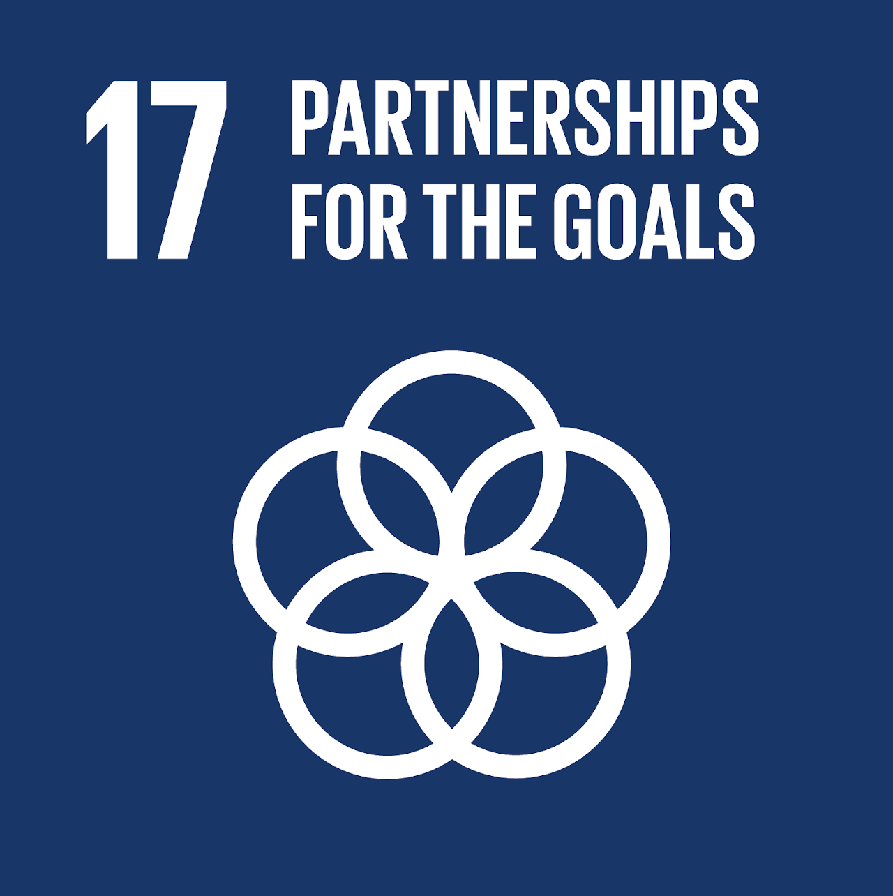 SDG 17 – SDGs